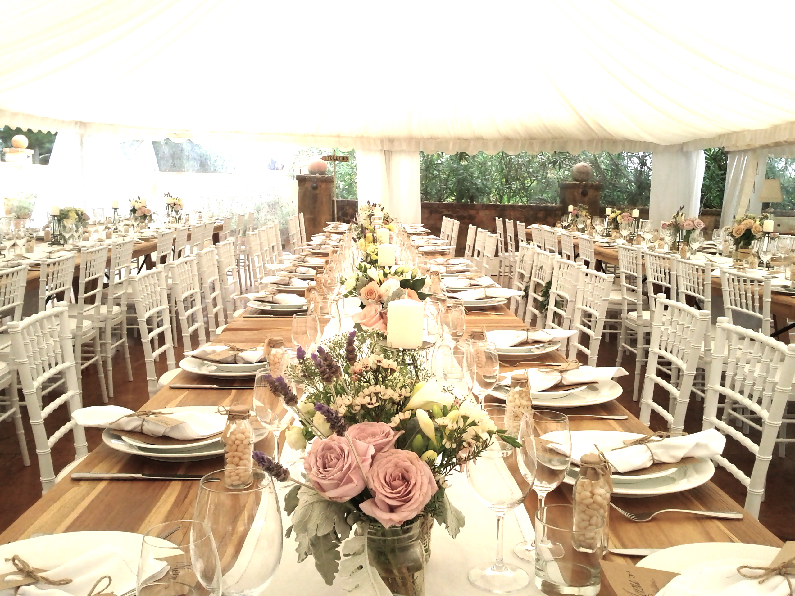 Light and Pretty Summer Setting - Frank and Joy